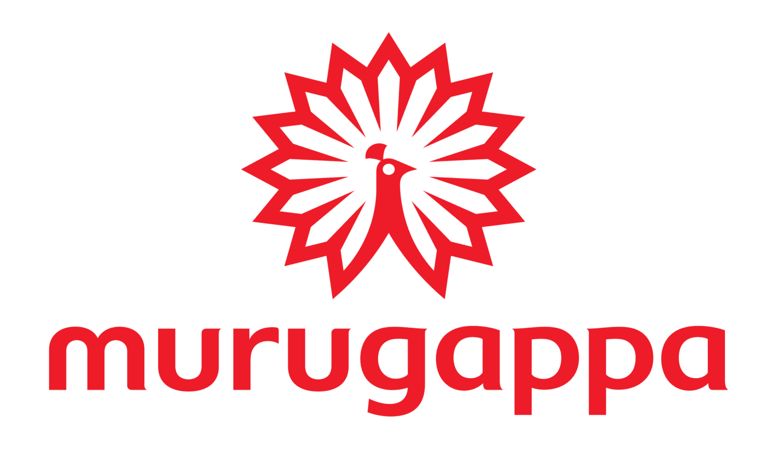 About Murugappa Group - Net Access India Limited